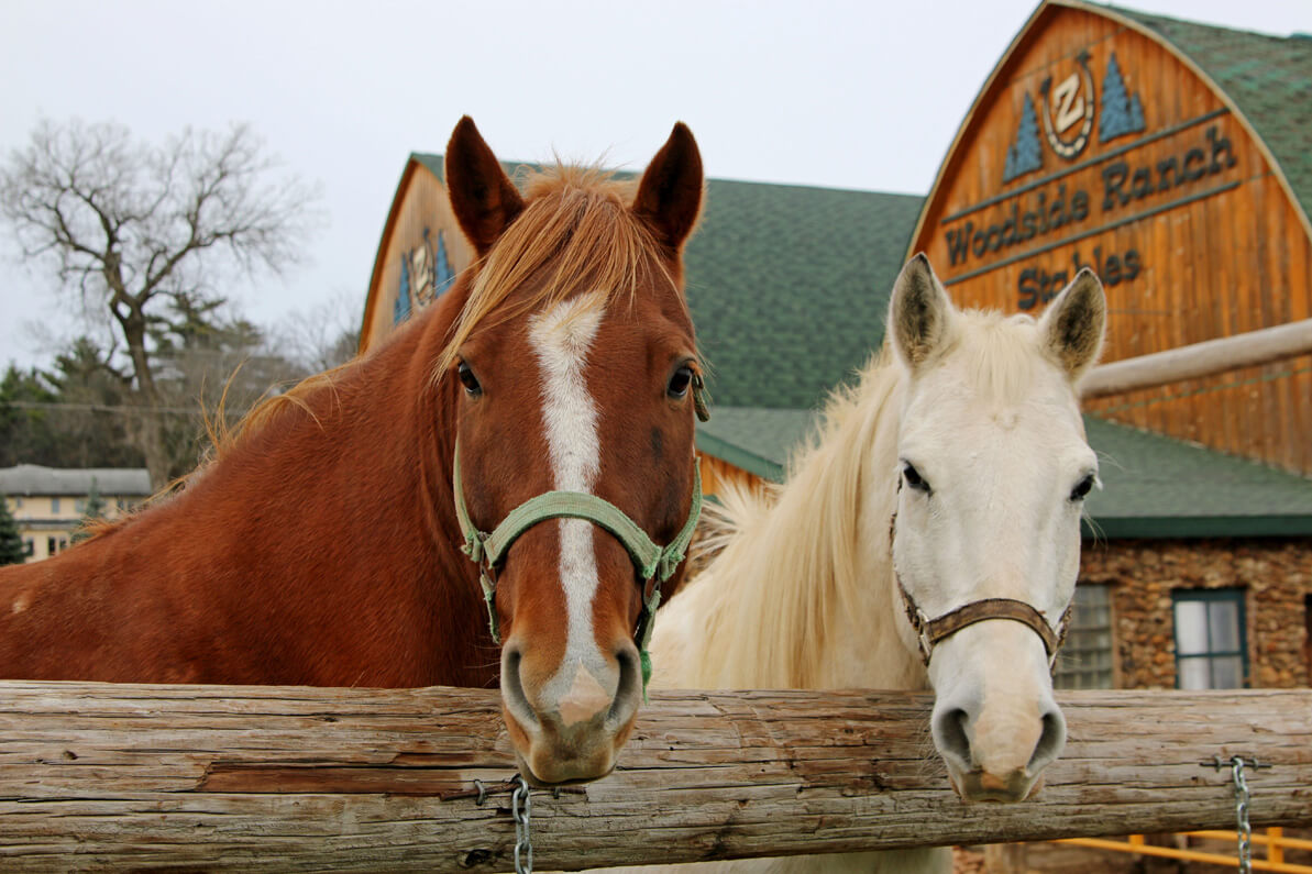 Woodside Ranch - Woodside Sports Complex